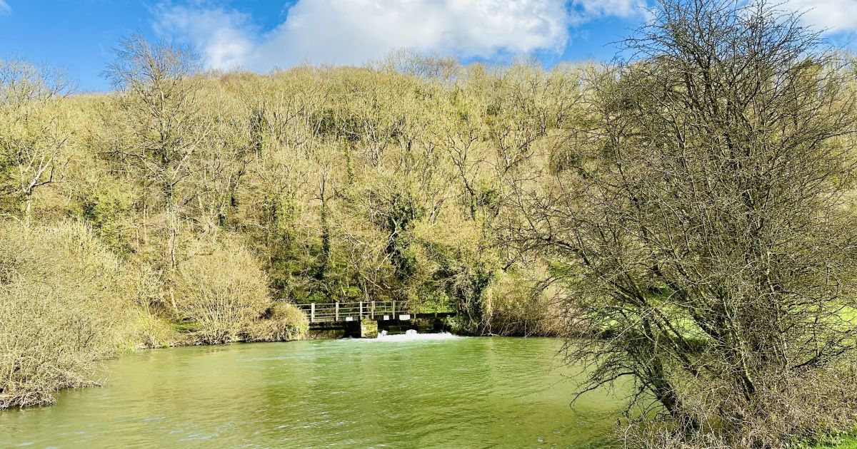 Beautiful Biddestone (Bath Ramblers walk) - Ramblers